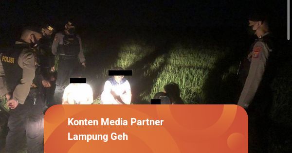Pesta Miras di Pinggir Sawah, Sekelompok Remaja di Pringsewu Diciduk ...